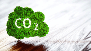 Agriculture : le label bas-carbone, mode d'emploi